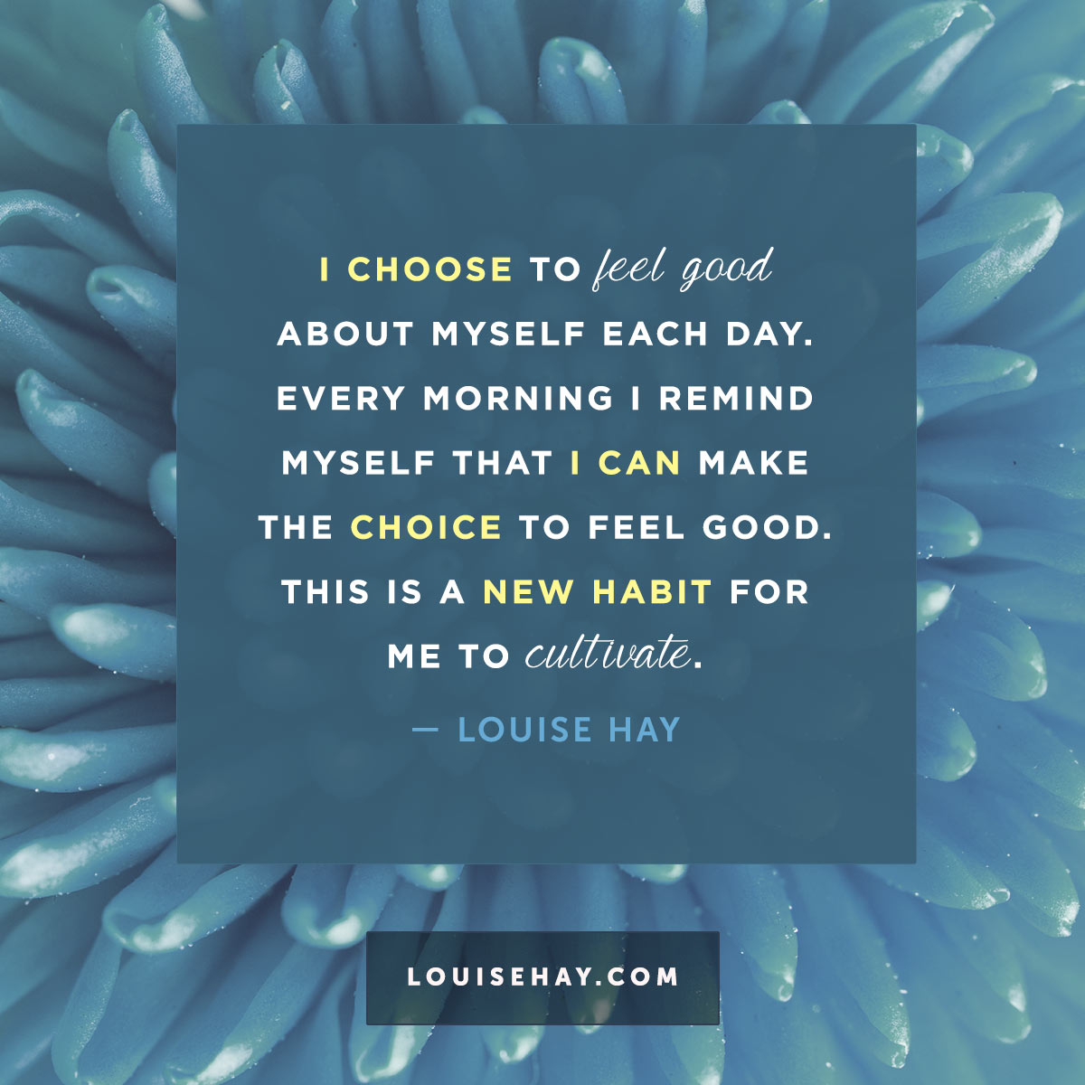 Daily Affirmations & Beautiful Quotes from Louise Hay